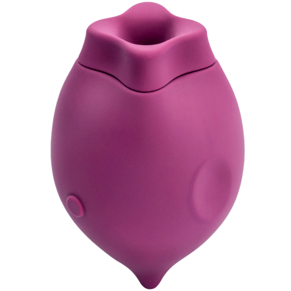 Smile Makers The Poet Clitoral Suction Vibrator – Justmylook