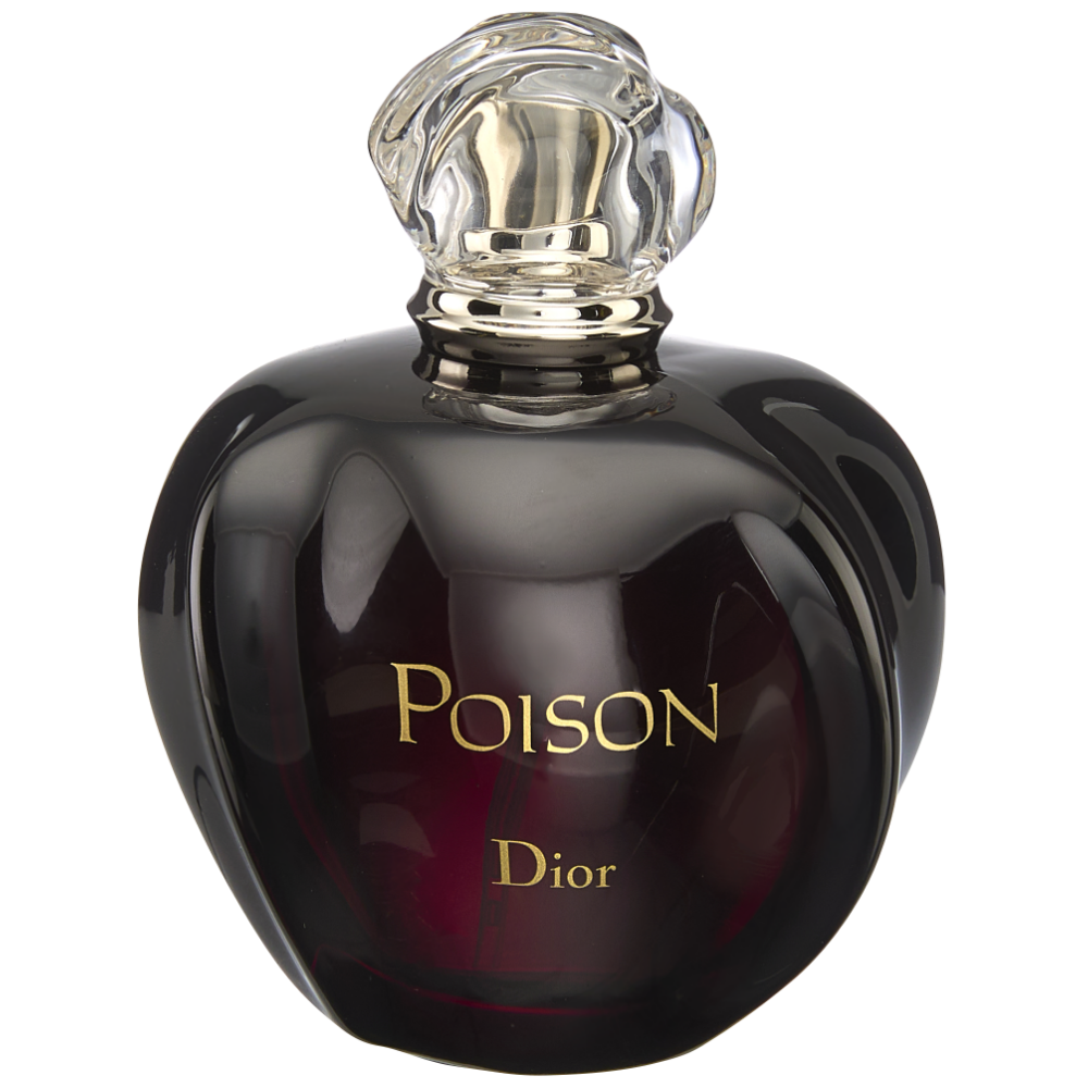Dior Poison Eau De Toilette 100ml – Justmylook