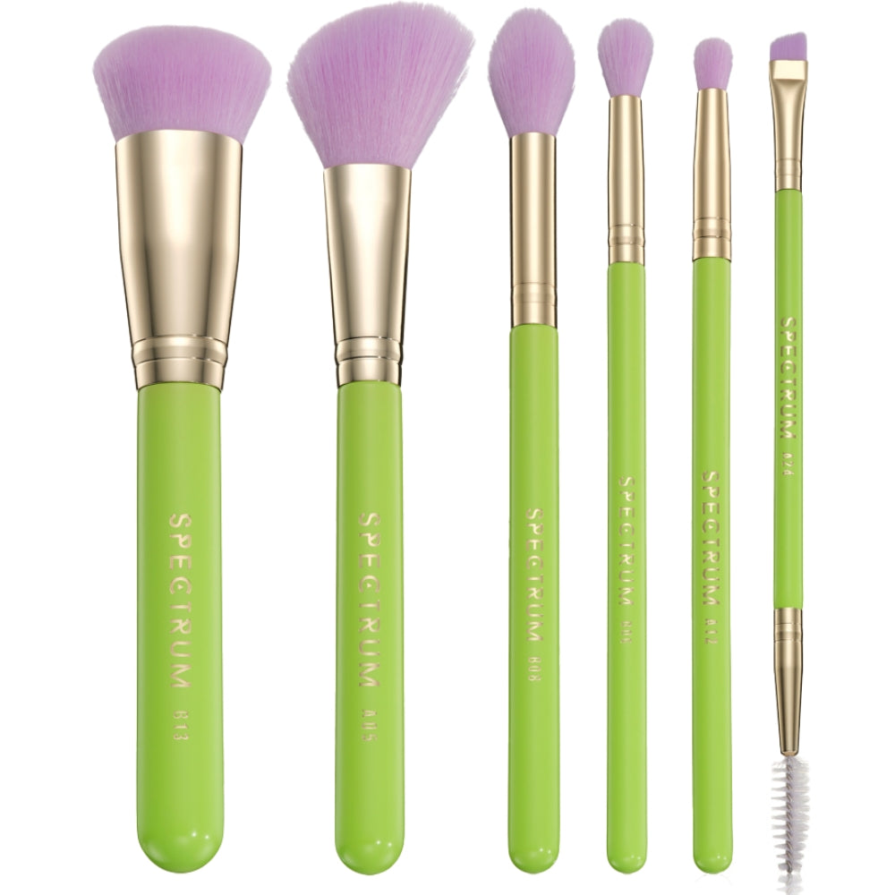 Spectrum Collections Margarita 6 Piece Makeup Brush Set – Justmylook