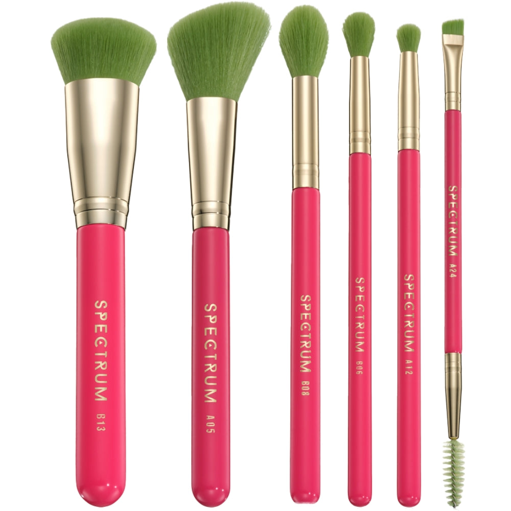 Spectrum Collections Cosmopolitan 6 Piece Makeup Brush Set – Justmylook