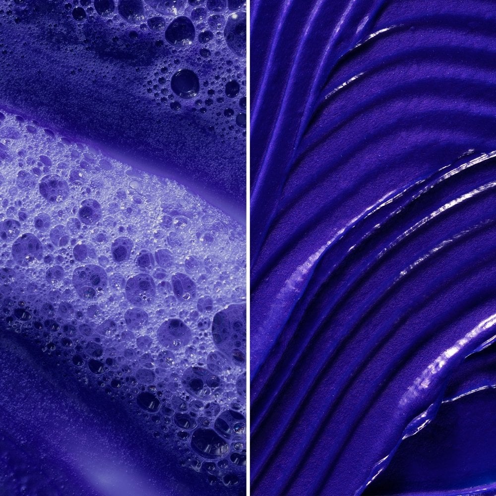 Pureology Strength Cure Blonde Purple Shampoo & Conditioner Twin 2 x 1 ...