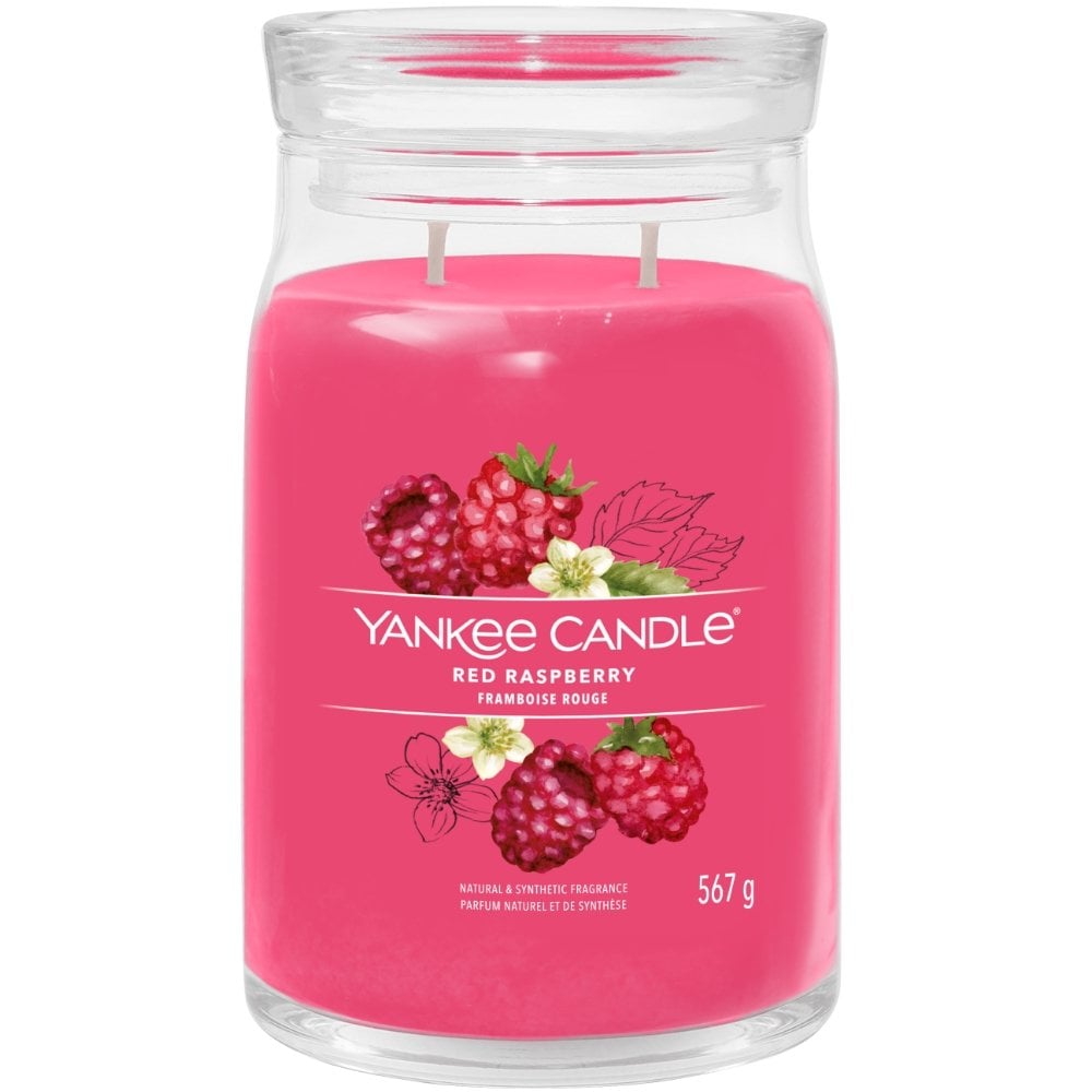 Yankee Candle Red Raspberry Large Signature Jar Candle – Justmylook